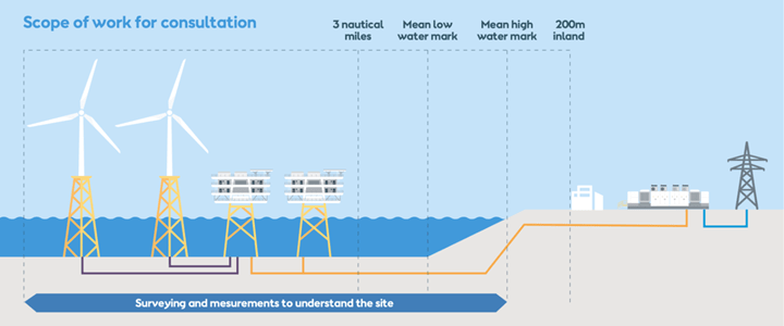 Marine environmental studies