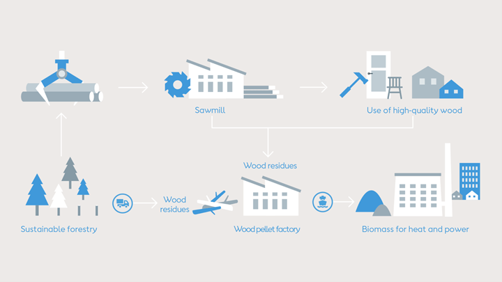 Bioenergy – heat and power production based on biomass | Ørsted
