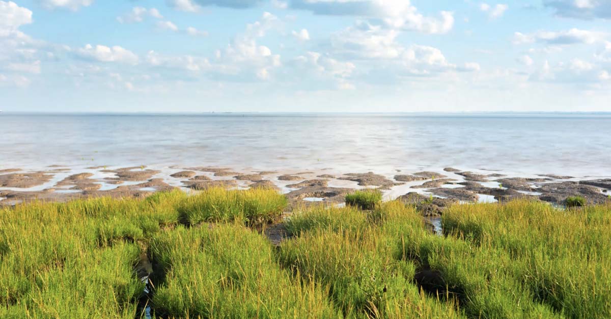 Why We Need Climate Change Adaptation Strategies | Ørsted