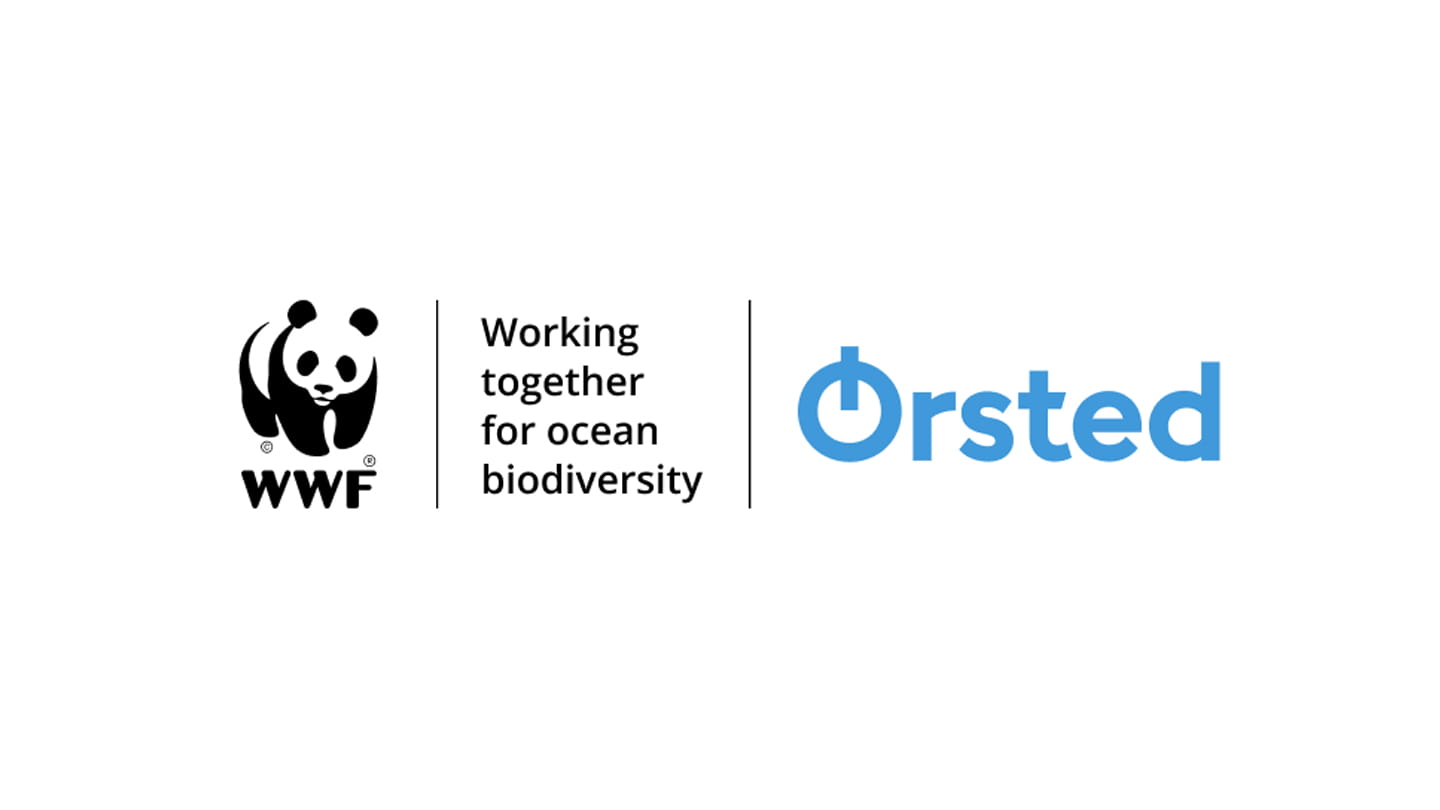 Ørsted & WWF Working Together for Ocean Biodiversity | Ørsted