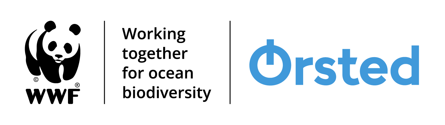 Ørsted & WWF Working Together for Ocean Biodiversity | Ørsted