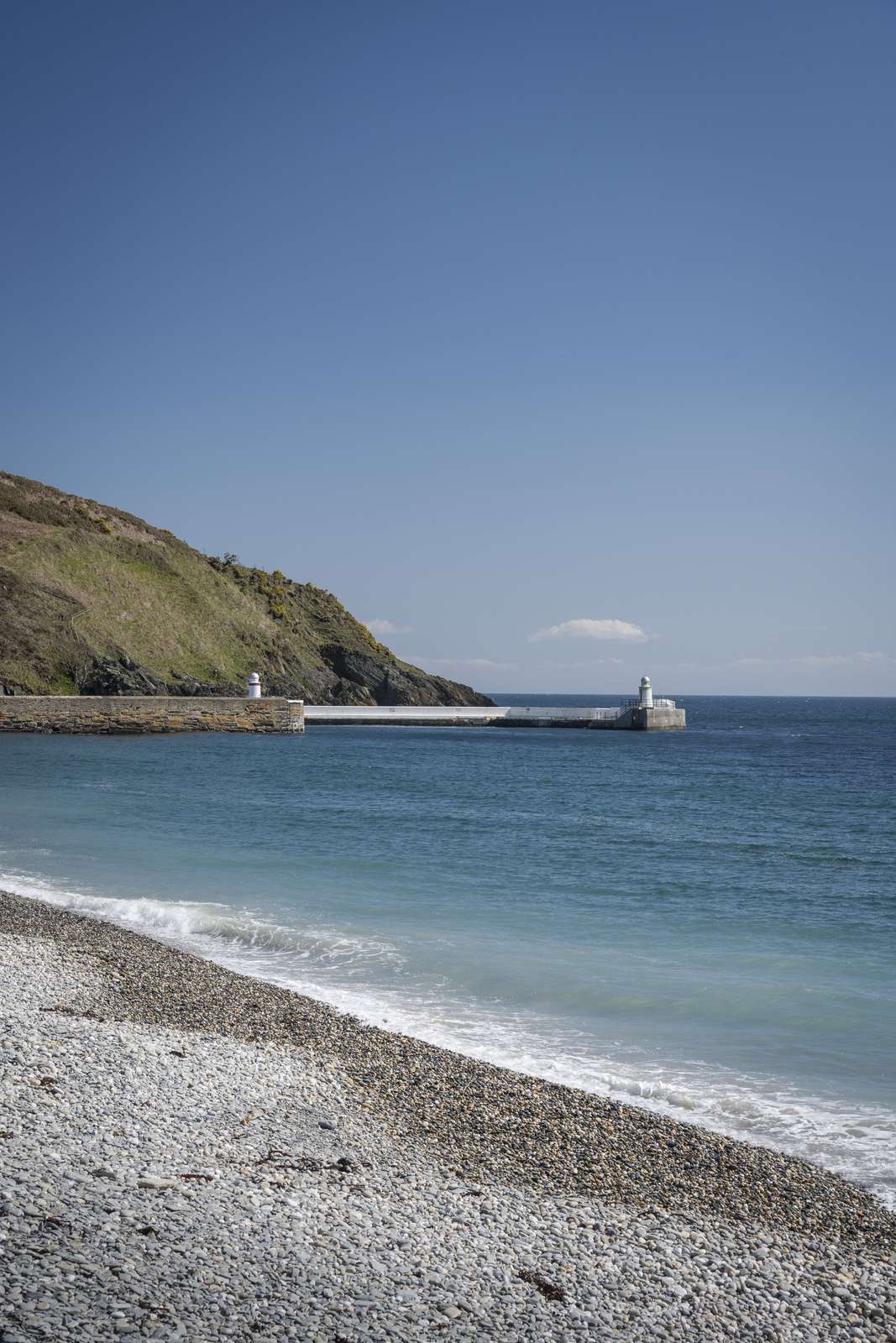 Protecting the Isle of Man’s biodiversity
