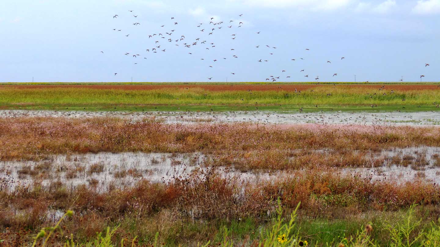 Ørsted Partners with Playa Lakes Joint Venture | Ørsted