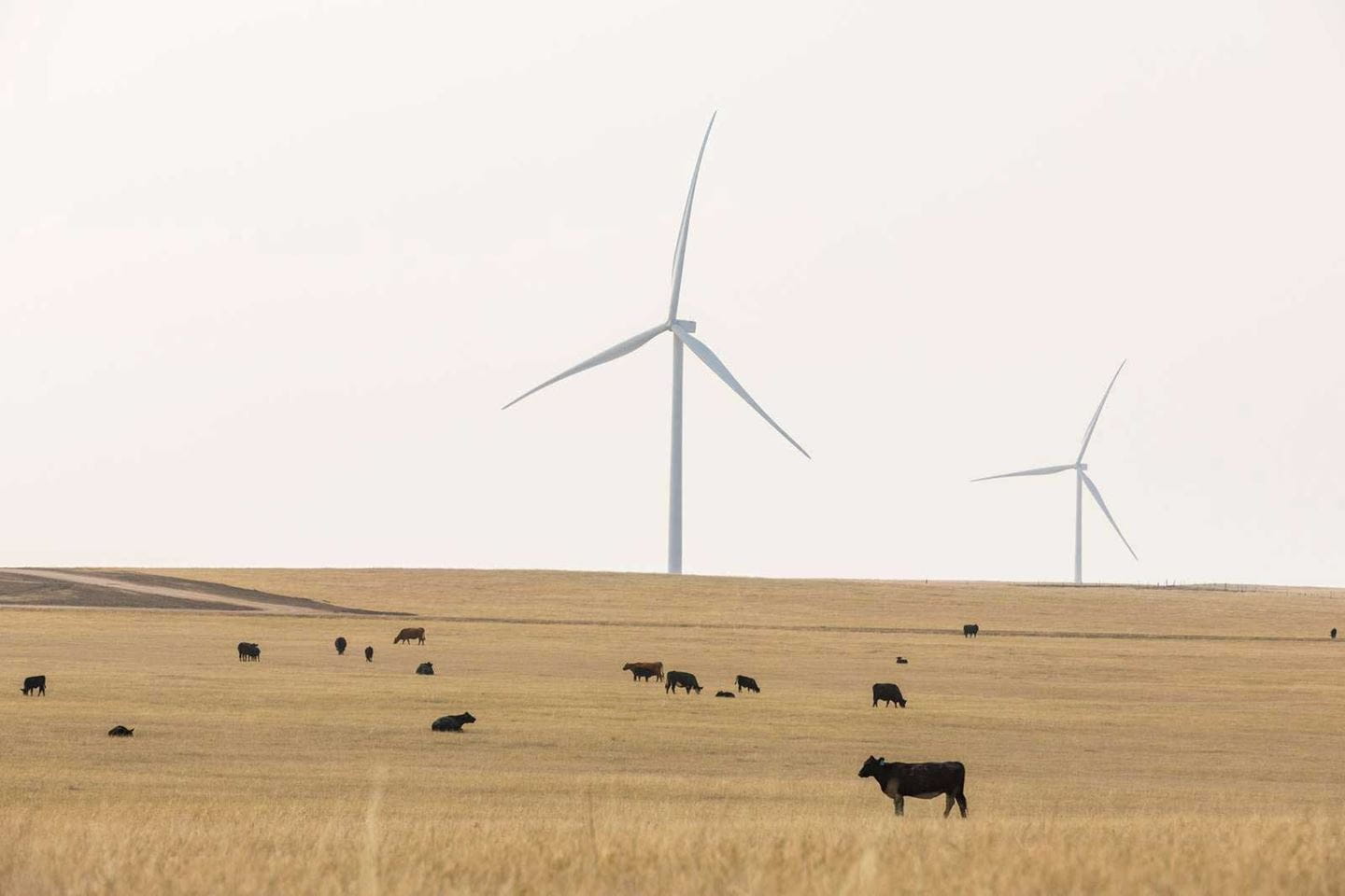 Badgerwindfarm.com