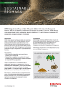 Sustainability & ESG Reports, Ratings & Rankings | Ørsted