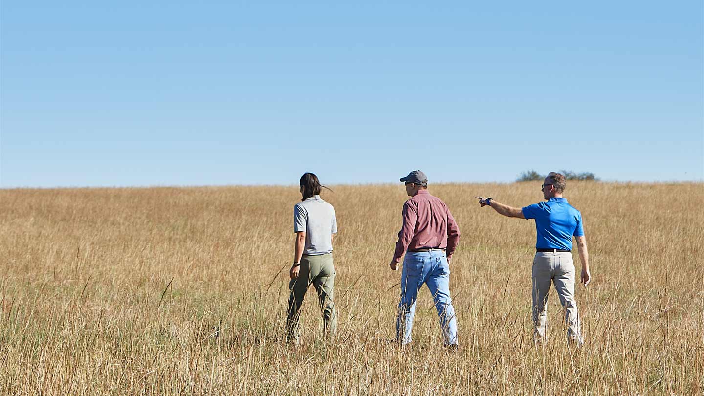 Empowering Texas through clean energy | Ørsted