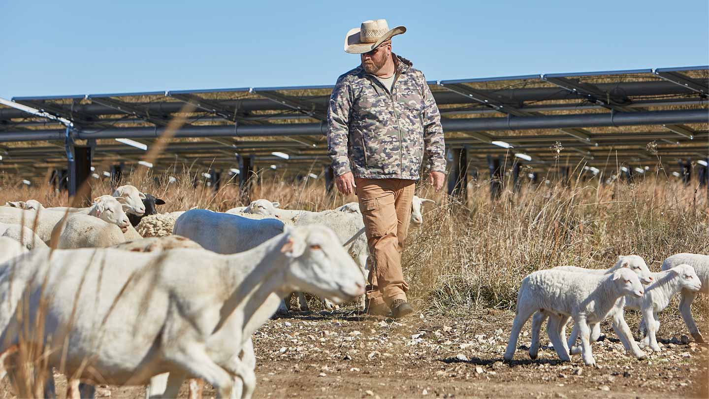 Empowering Texas through clean energy | Ørsted