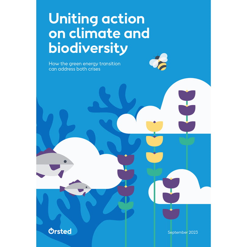 Uniting action on climate and biodiversity | Ørsted